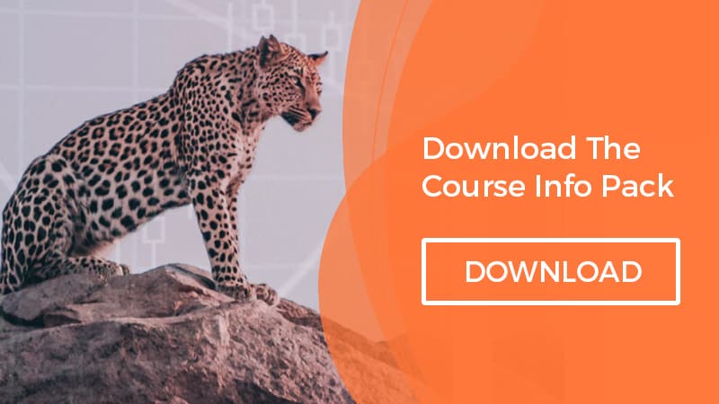 Trading Course Bundles - International Day Trading Academy